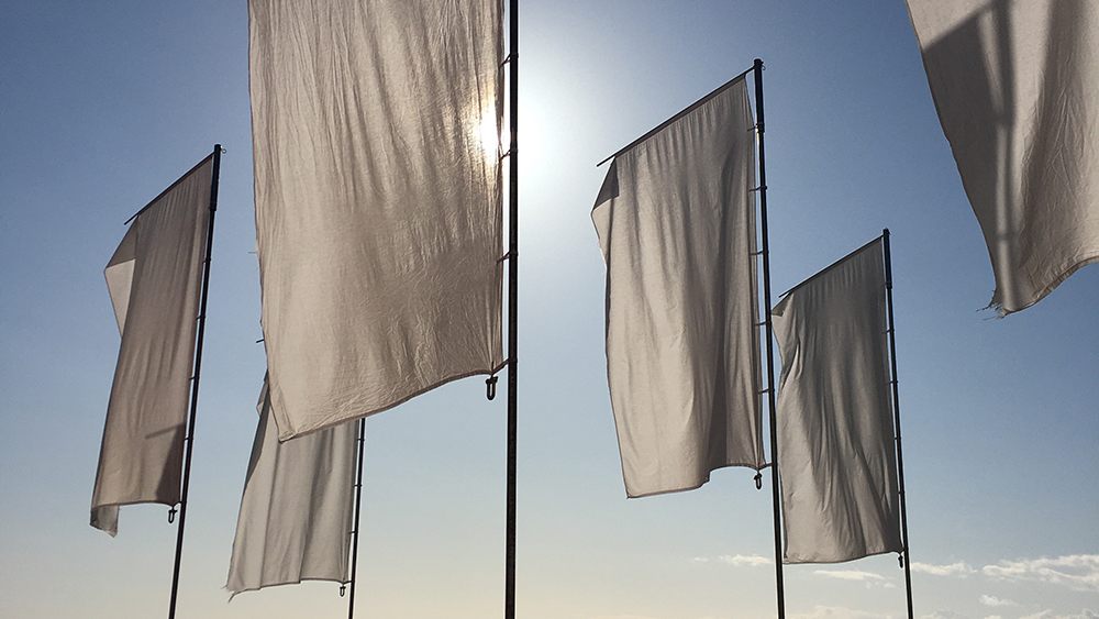 Peace-Zeichen, Taube und Co.: Was bedeuten die Friedenssymbole ...